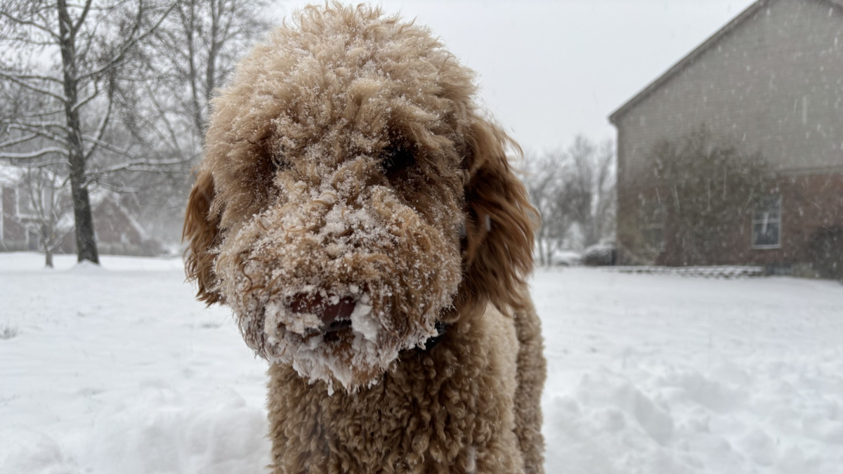 PHOTOS: Winter storm Blair leaves behind several inches of snow across ...