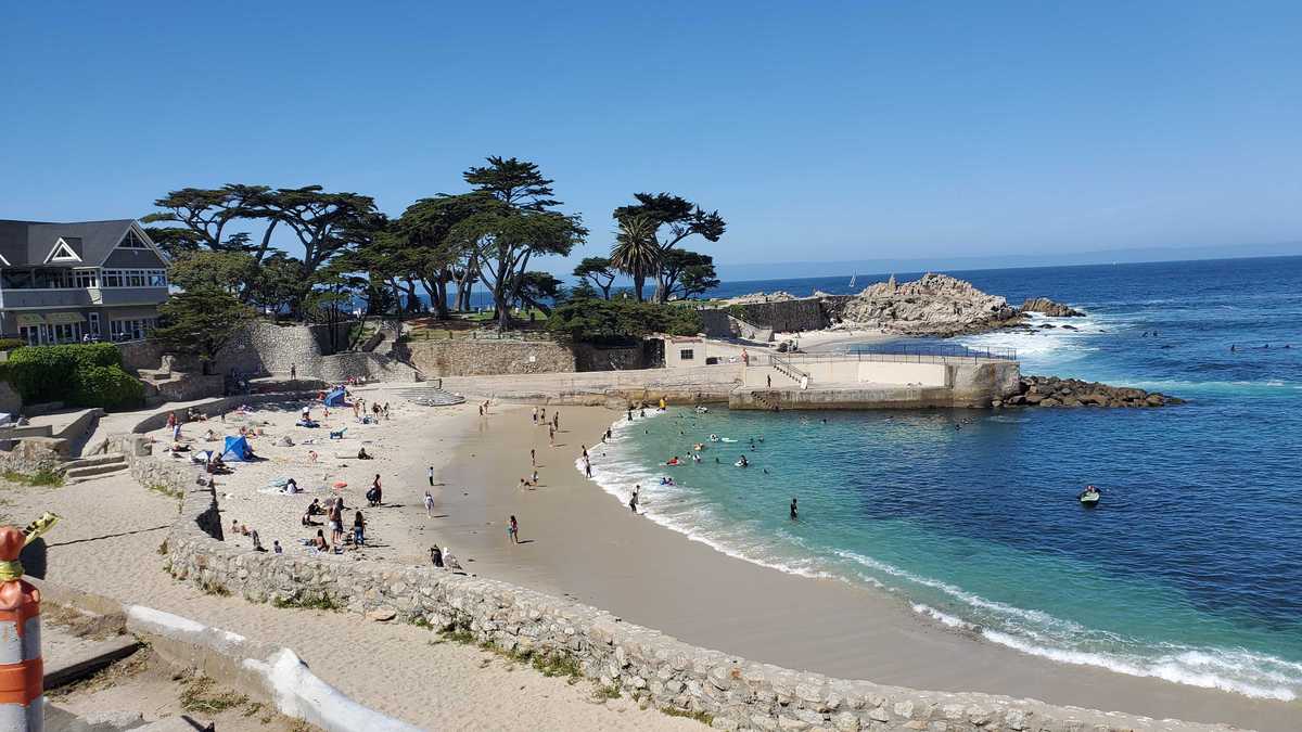 Predator concerns close Lover’s Point Beach after whale found