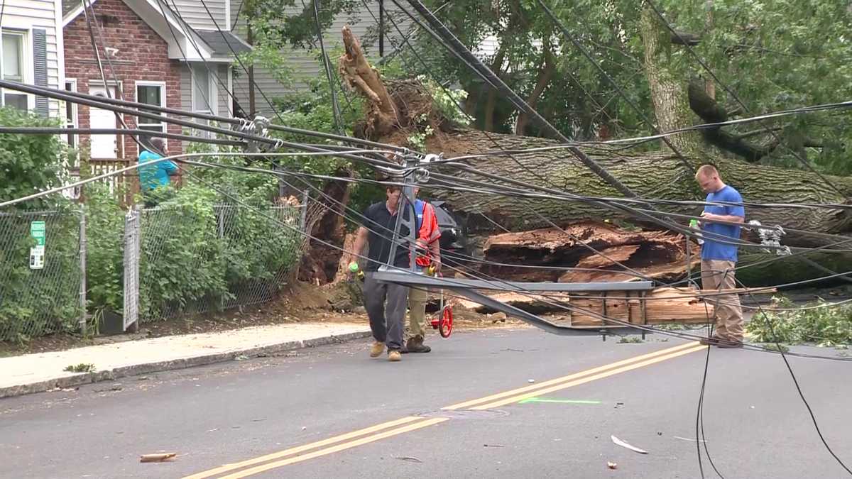 Thousands without power in Lowell after massive tree tears down utility ...