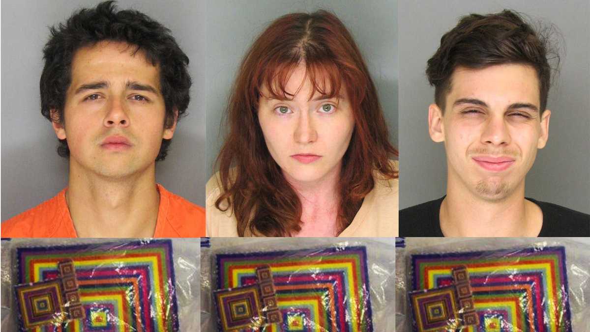 Accused Santa Cruz Lsd Drug Dealers Released From Jail