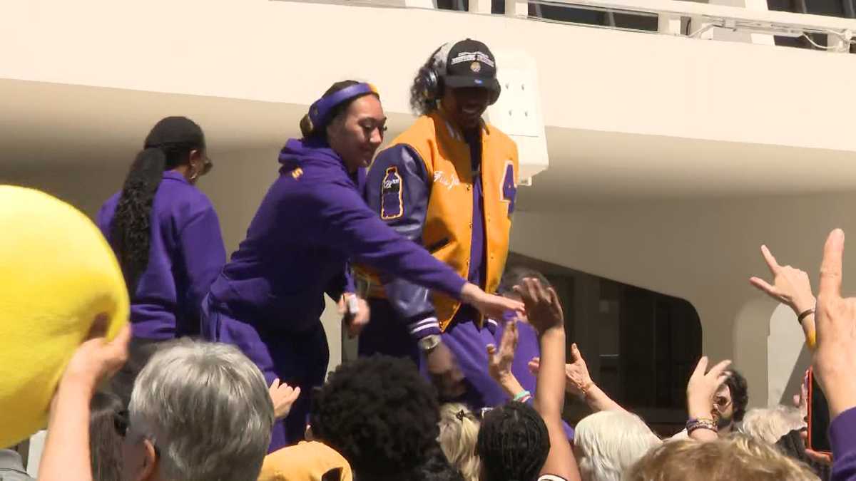 WATCH NOW: LSU fans show up for big sendoff as Tigers leave for Sweet ...