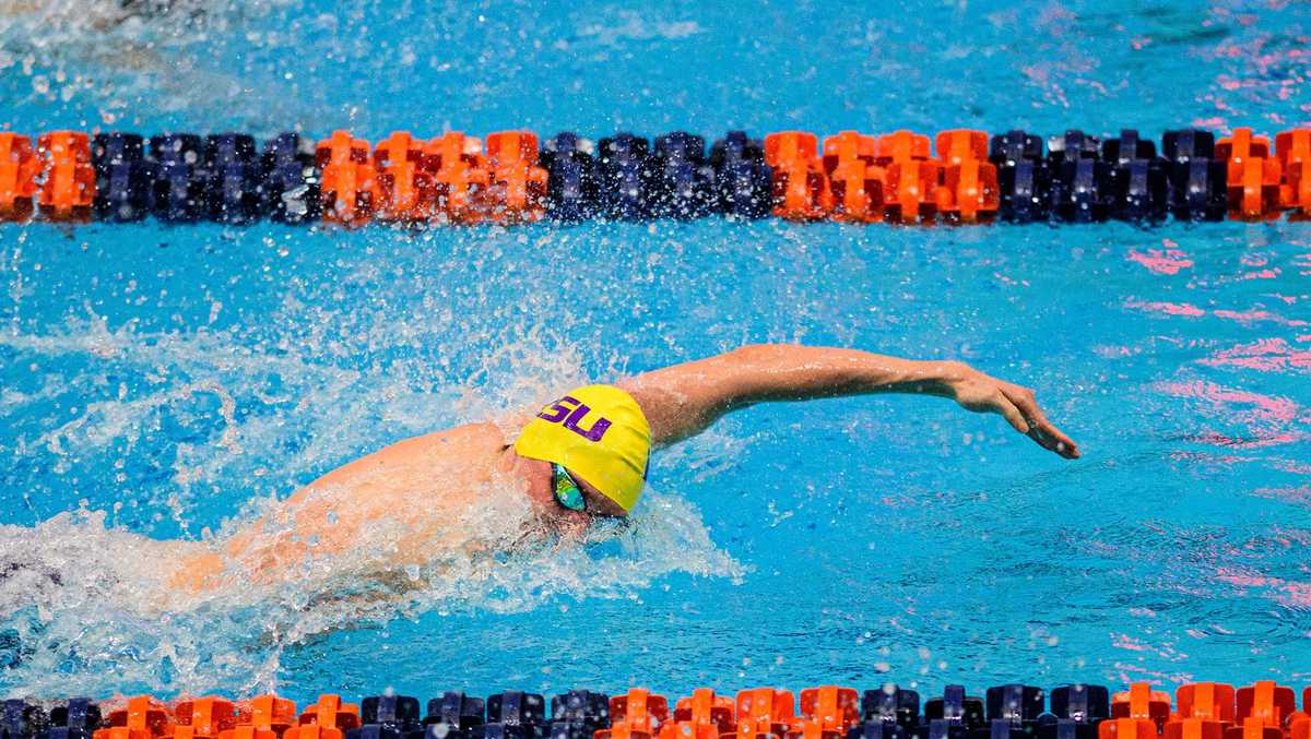 LSU swimmer Brooks Curry qualifies for Tokyo Olympics