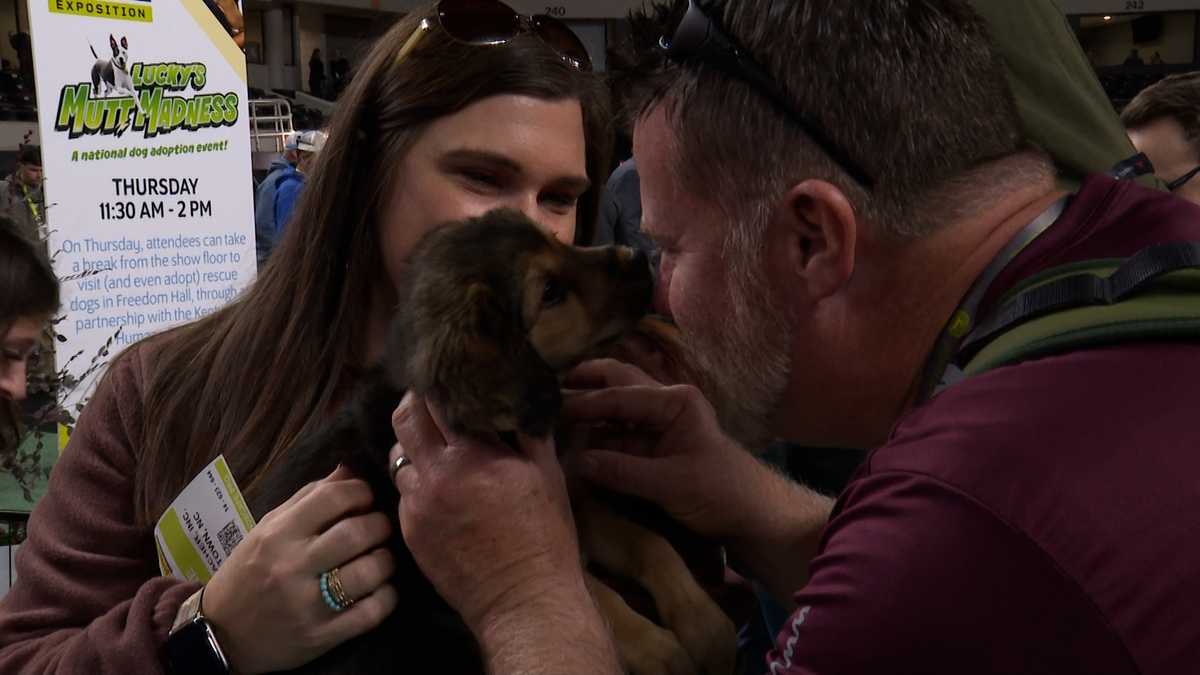 Lucky's Mutt Madness aims to put rescue dogs in loving homes