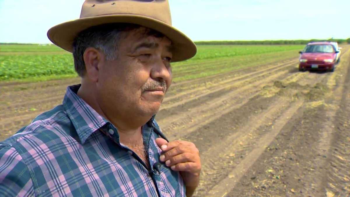 La lucha de Luis Magaña en los campos del norte de California