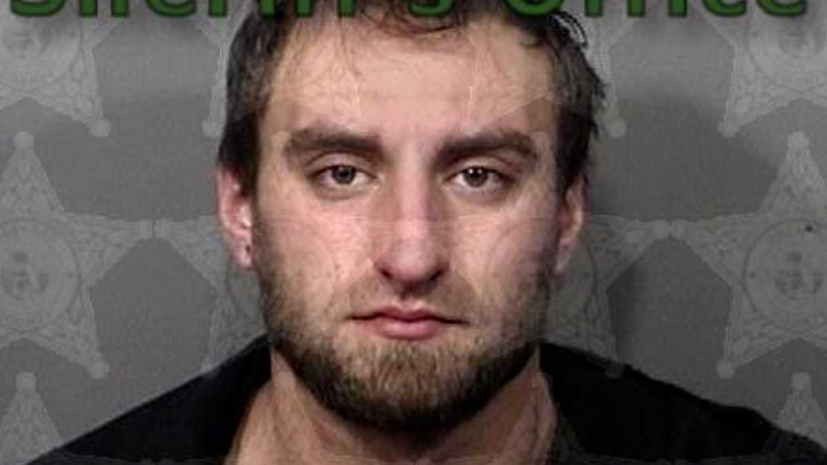 Police: Driver arrested after pulling out gun, firing shots