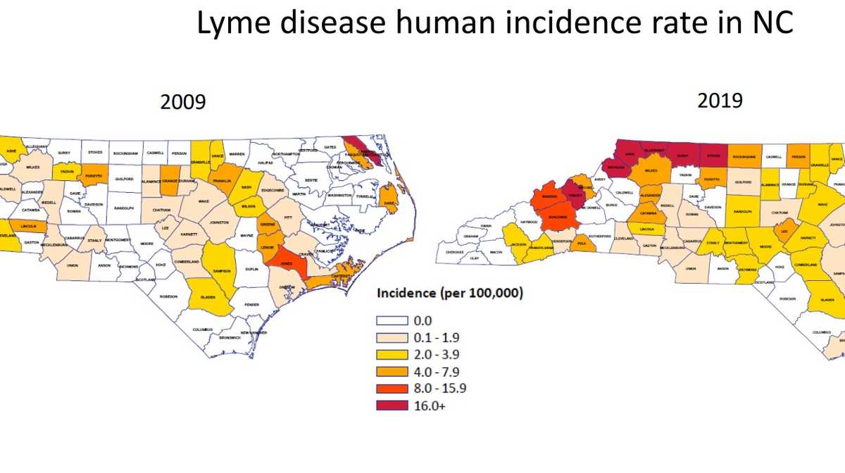 Non profit fighting tick disease says more education needed.