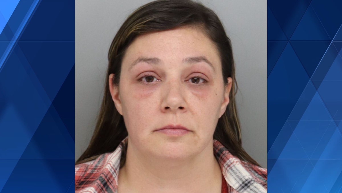 Court docs: Mother accused of driving drunk at McDonald’s on Christmas Day