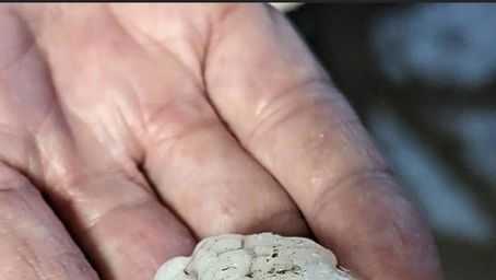 South Carolina: Hail, lightning video from storms