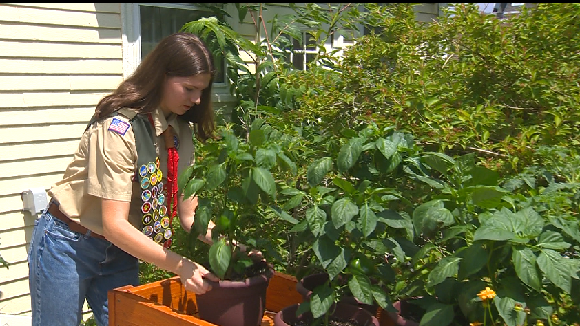 5 for Good: Melrose girl becomes 7th in family to earn rank of Eagle Scout