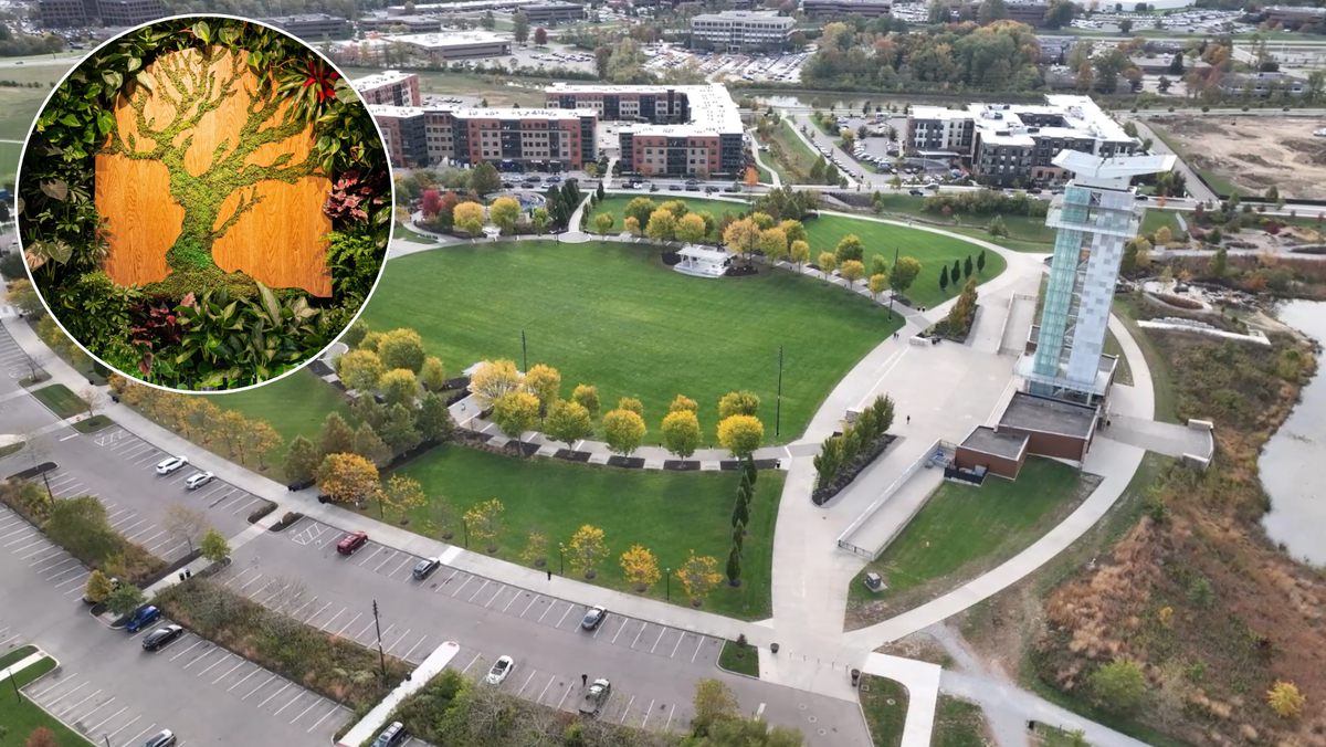 MadTree announces plans for 4th restaurant, bringing 2nd Alcove ...