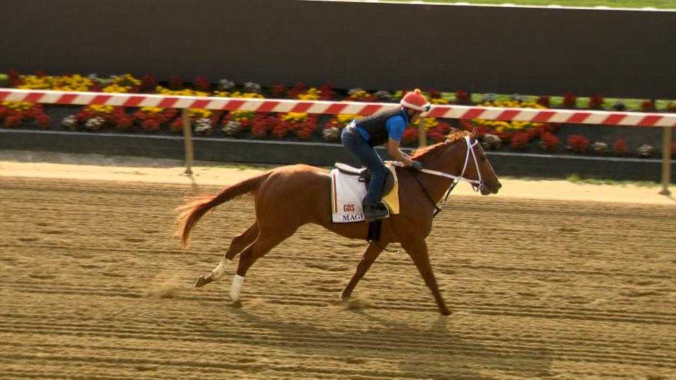 Mage gets stitches for cut above eye after bumping head in stall