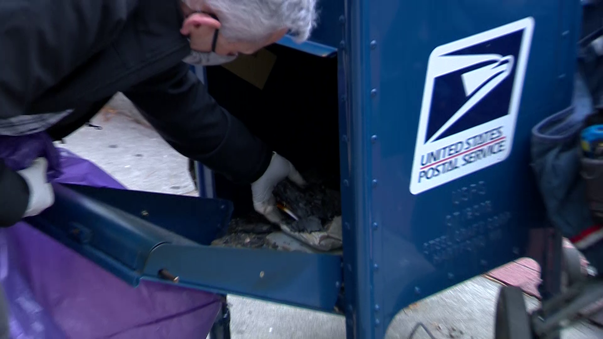 Burned mail found in Boston mailbox near where ballot drop box was set ...