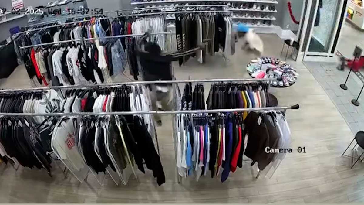 Savannah: Expert says Oglethorpe Mall shooting was a gang attack