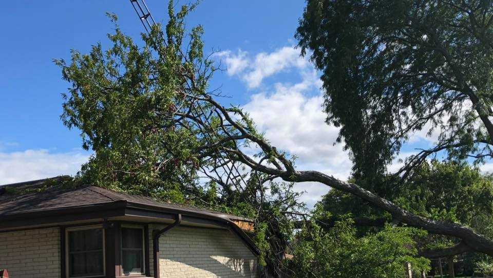 Winds topple trees after night of heavy rain