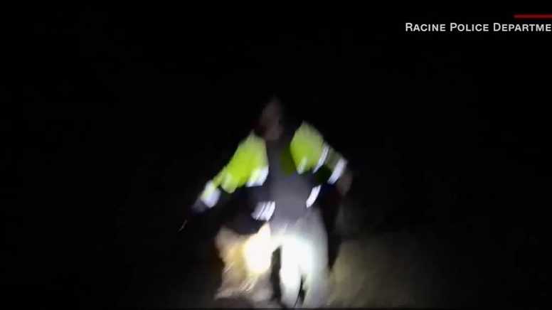 Suspect tries to bite police dog during arrest