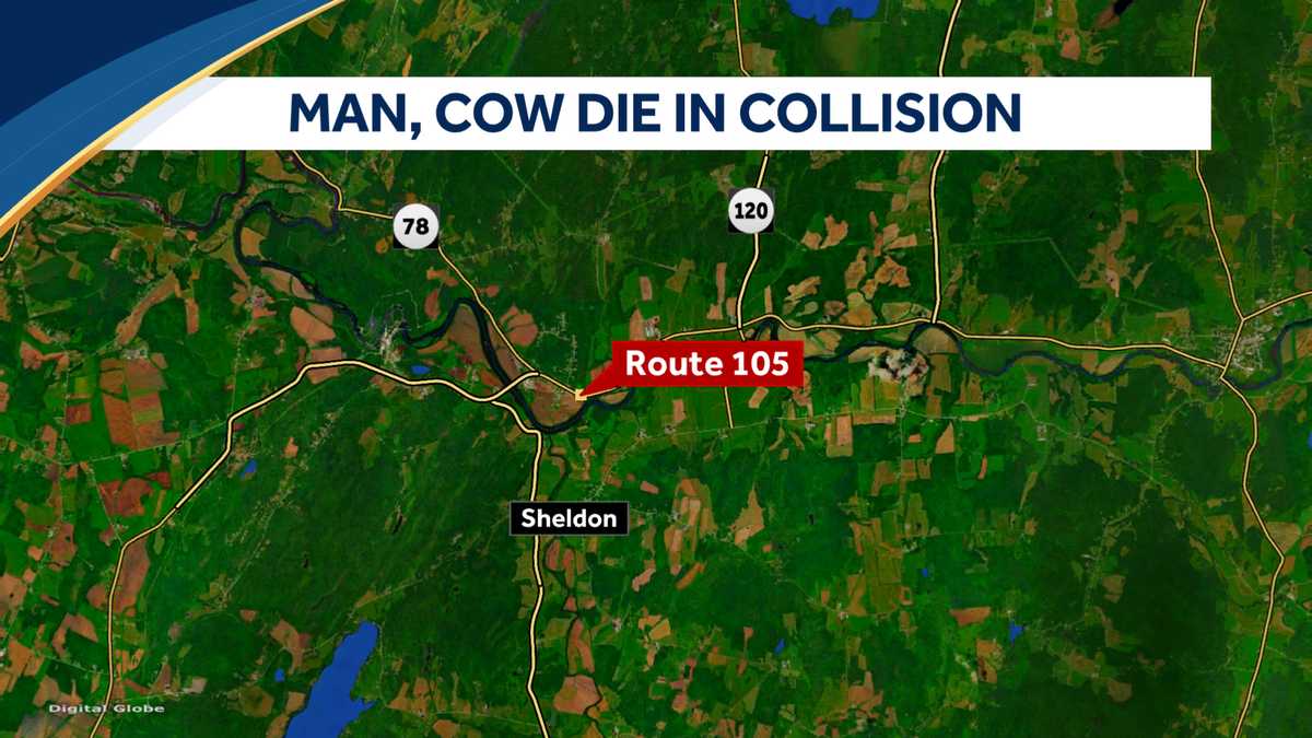 Driver, cow dead after collision on Vermont road, police say