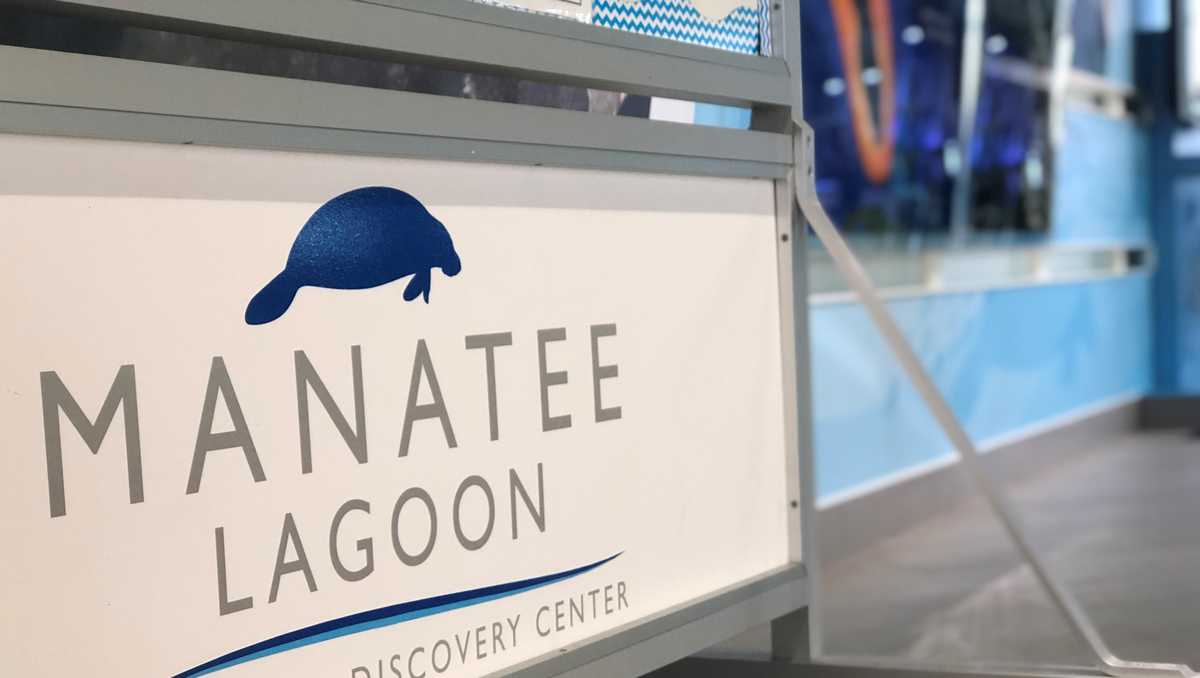 Manatee Lagoon's spooktacular Halloween party