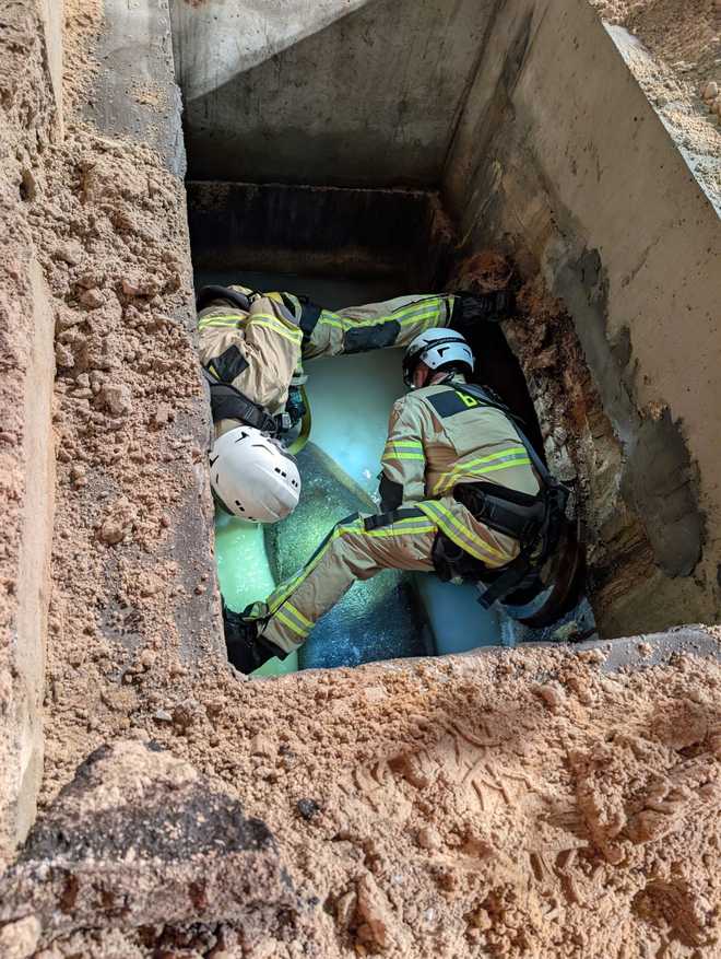 Manatee rescued from Central Florida storm drain recovering at SeaWorld