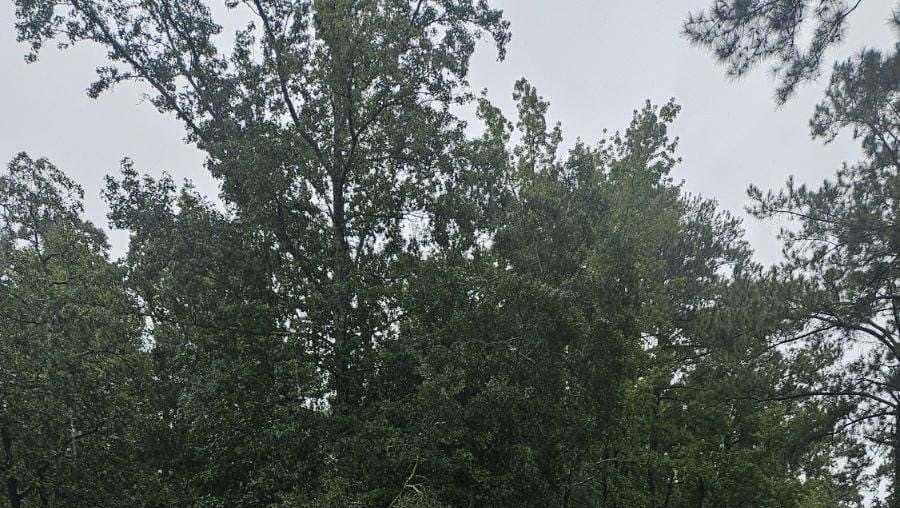 Louisiana police assist with Mandeville SWAT situation