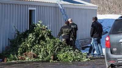 Mainer sentenced in connection with large drug bust