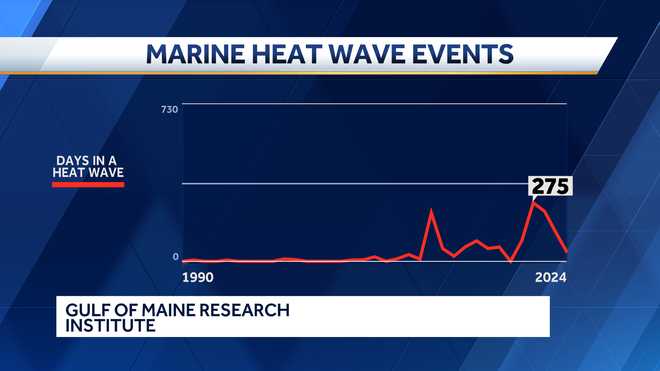 The crisis in the water and the challenges marine species face when ...