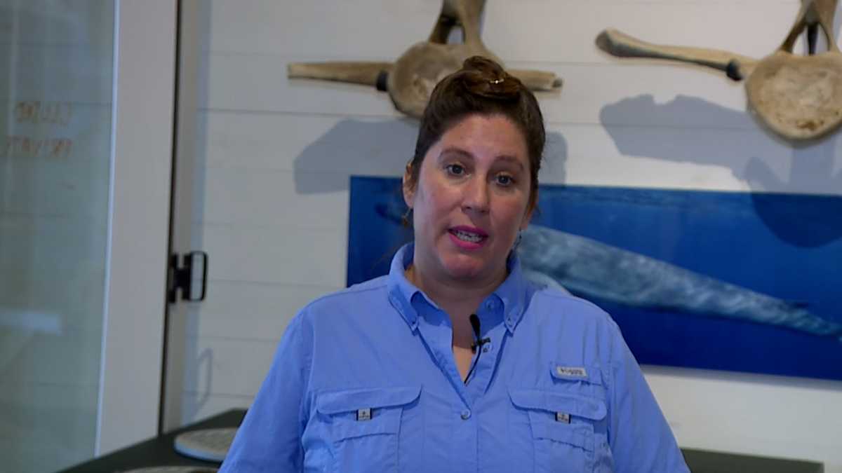 Tybee Island Marine Science Center names new director