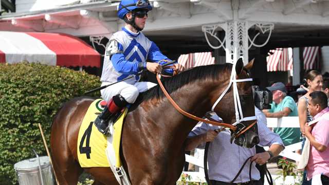 Market King confirmed to run in Preakness Stakes