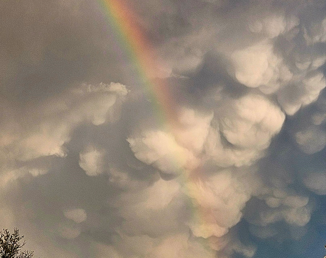 Check out these photos of Iowa rainbows after Tuesday's storms