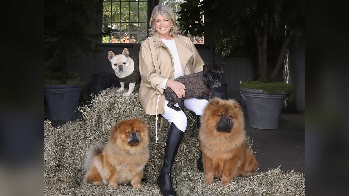 Martha Stewart launches line of CBD-infused dog treats