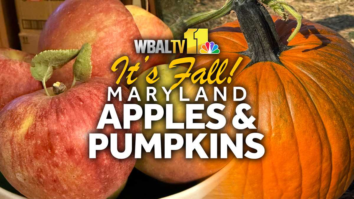 Find pumpkin patches, apple orchards in Maryland