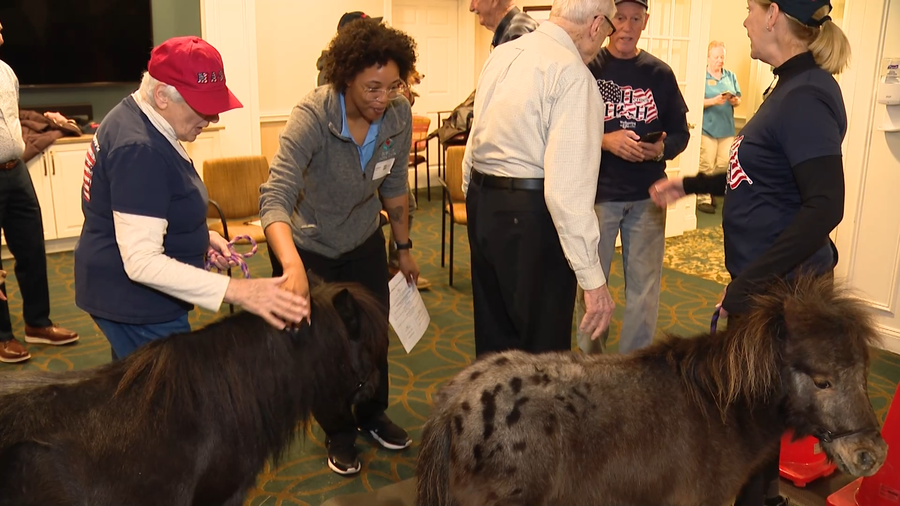 Monkton farm matches furry friends with seniors, veterans