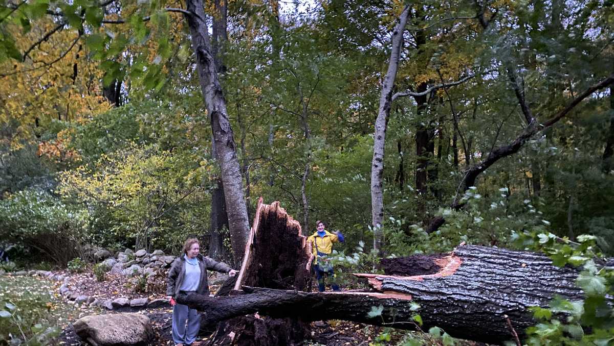 Images: Powerful storm leaves trail of damage across state