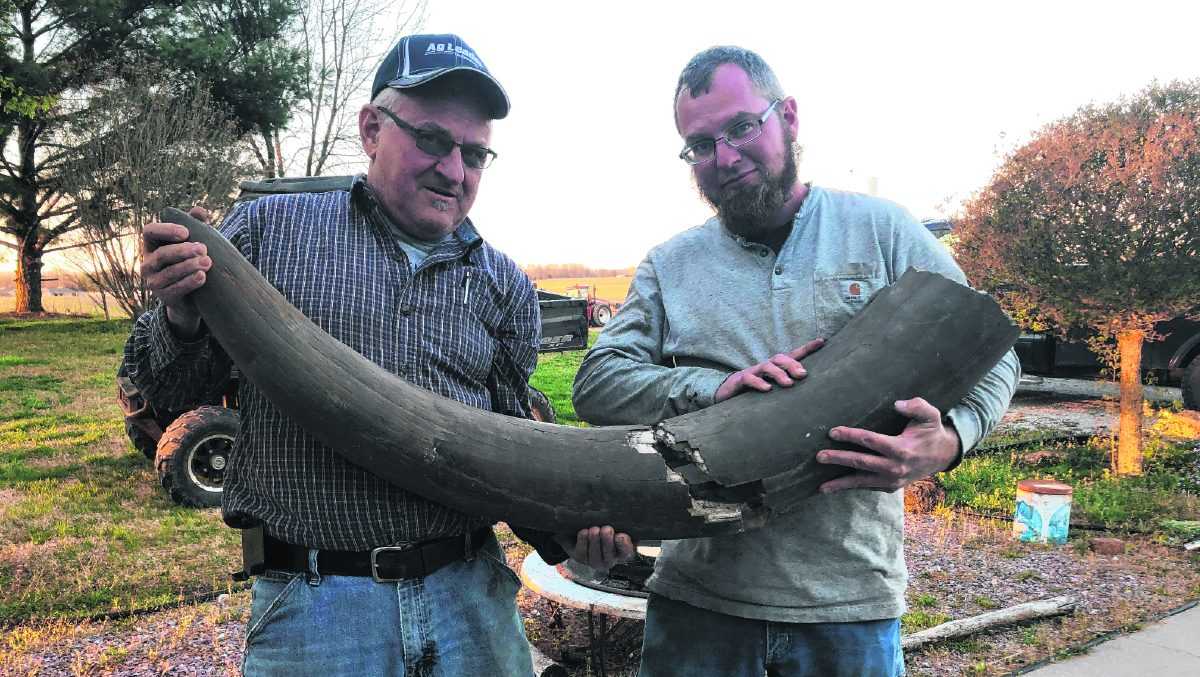 Ancient mastodon bones found on southern Indiana farm