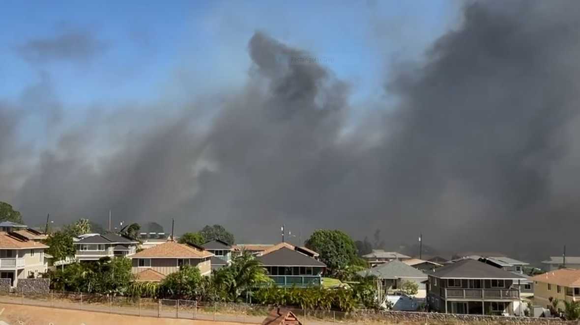 A woman and her son survive Maui wildfire