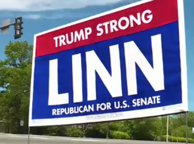 Disqualified candidate Max Linn still putting up campaign signs