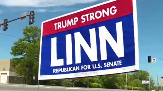 Max Linn supporters file lawsuit after candidate disqualified from ballot