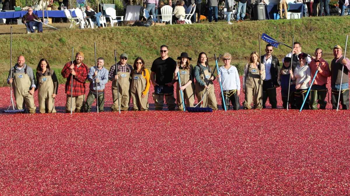5 for Good: Plympton cranberry farmer supports local residents in recovery