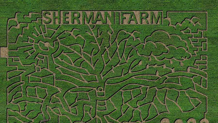 New Hampshire's best corn mazes of 2023