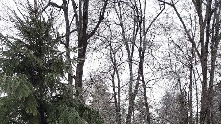Gallery: Tuesday's Ice Storm photos