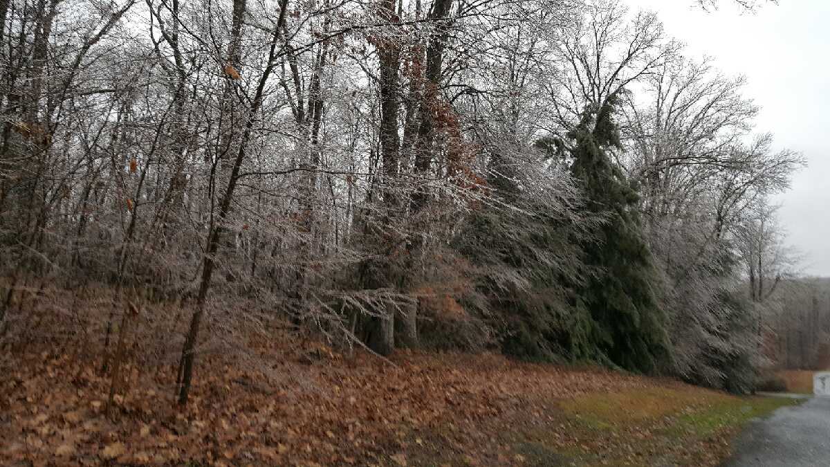 Gallery: Tuesday's Ice Storm photos