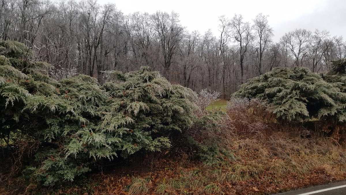 Gallery: Tuesday's Ice Storm photos