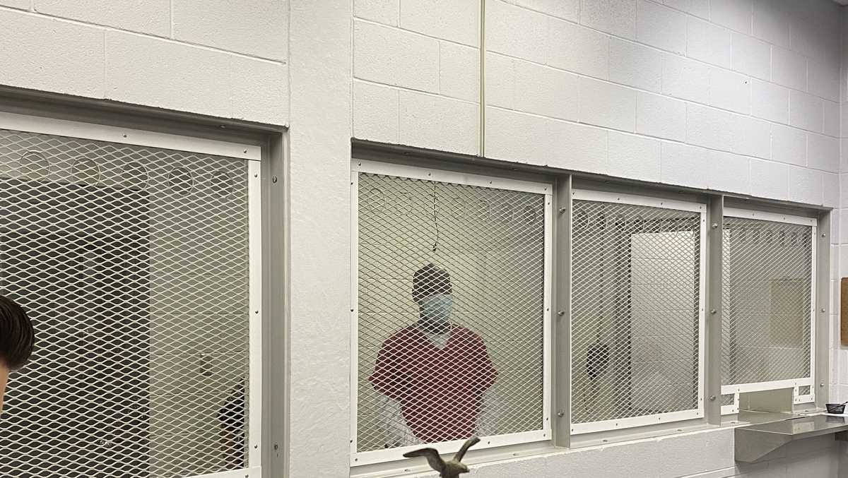 Greenville Man Charged In Hit And Run Death Of Elementary School