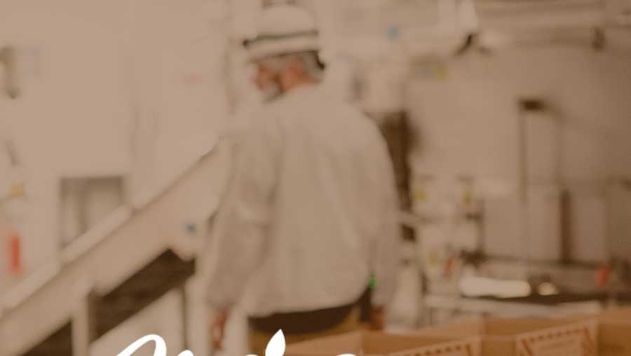 McCain Foods buys Maine potato company Penobscot McCrum