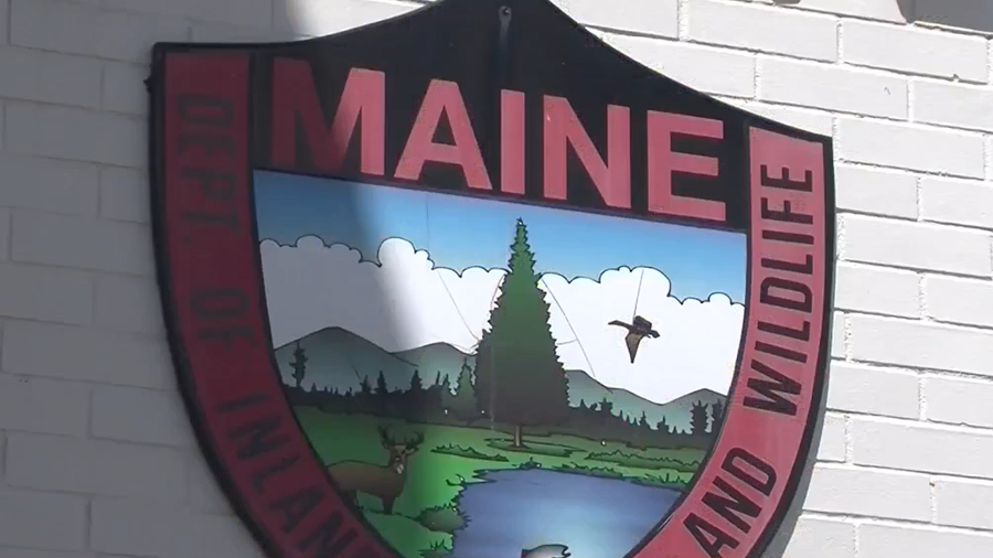 Maine releases 10-year wildlife conservation plan