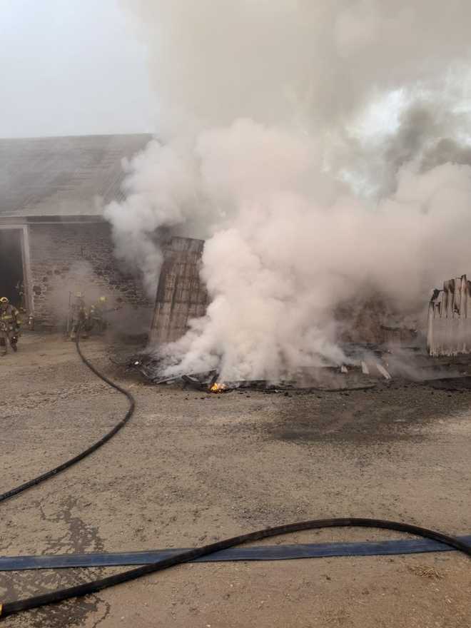 100 cows reported safe after barn fire in Manor Township, Pa.