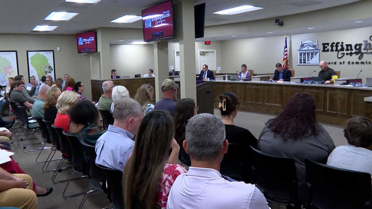Effingham County votes to withdraw from Live Oak Libraries - WJCL