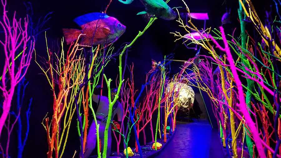 Meow Wolf named in TIME magazine 10 most influential travel and tourism ...