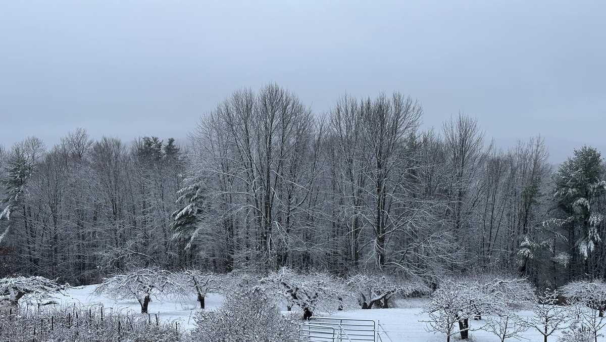 NH snow totals by town: Nov. 16, 2022