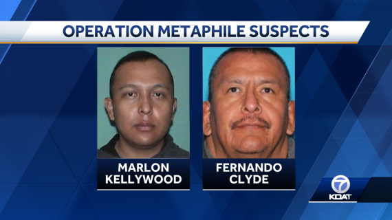 Two 'Operation MetaPhile' suspects reach plea deals