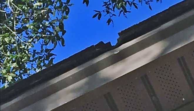 Couple’s home hit by meteorite, Clemson astrophysicists confirm Couple’s home hit by meteorite, Clemson astrophysicists confirm